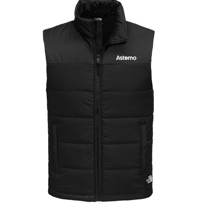 The North Face® Everyday Insulated Vest – Astemo Store